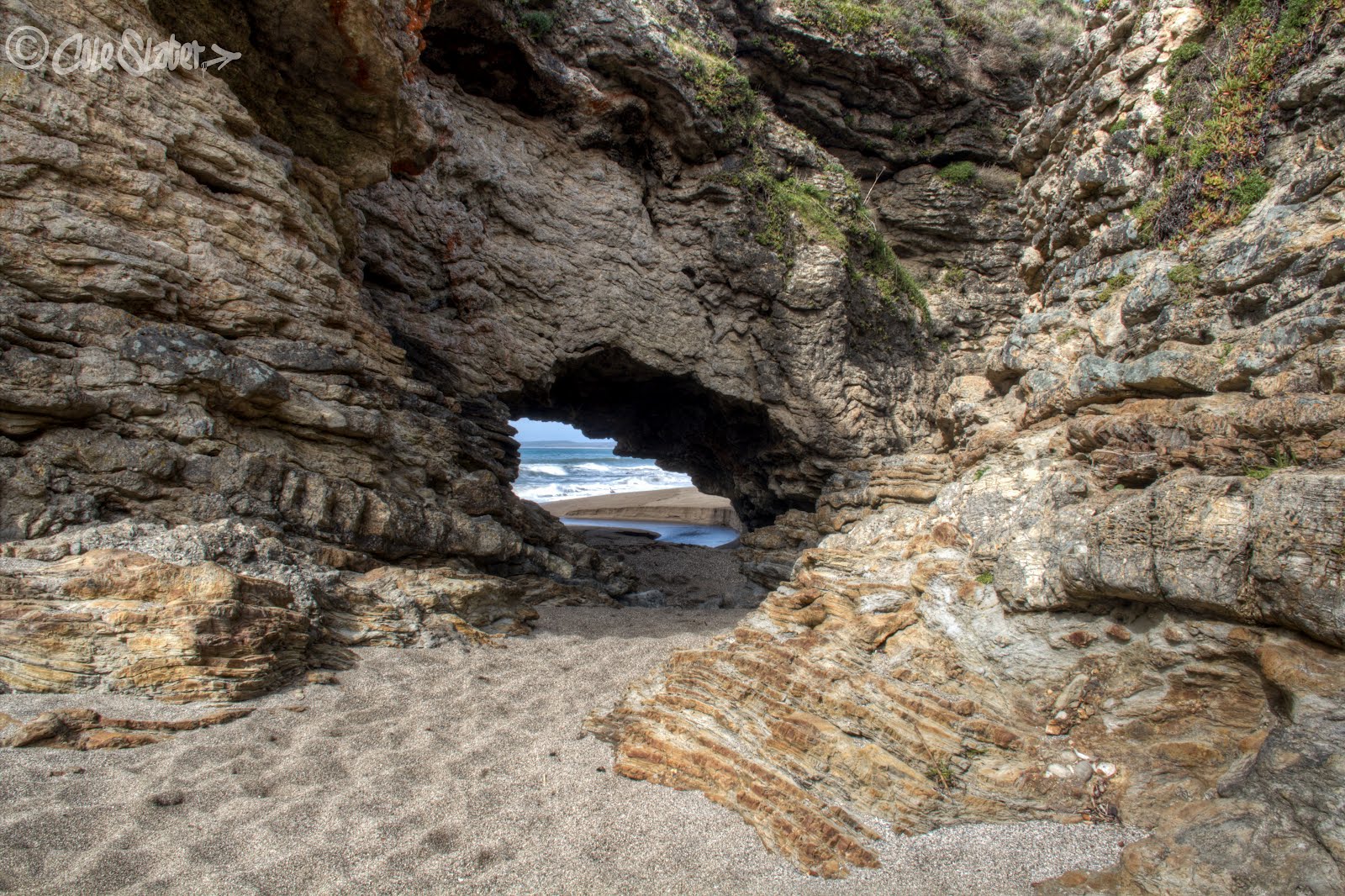 Cole's Trail Tales: Point Reyes - Arch Rock to Mt. Wittenberg Hike - 2 ...