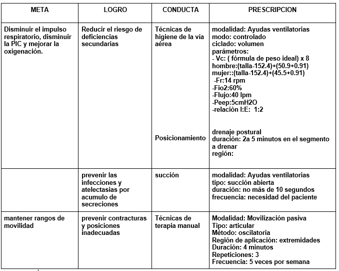 estrategias de intervención cardiopulmonar : FISIOTERAPIA RESPIRATORIA ...