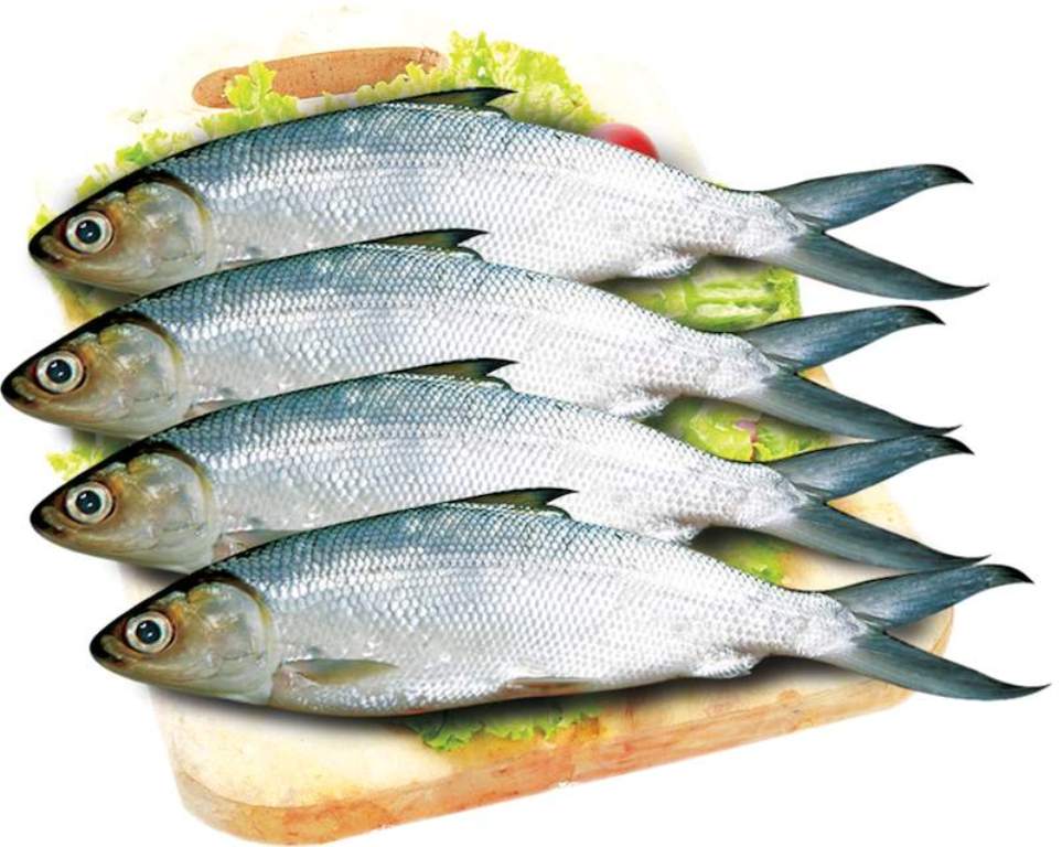 Fish Curry with Fresh Milk Easy to Make Recipe using Milk Fish ...