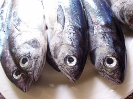 Batangueño Around The World: What We Miss In Batangas