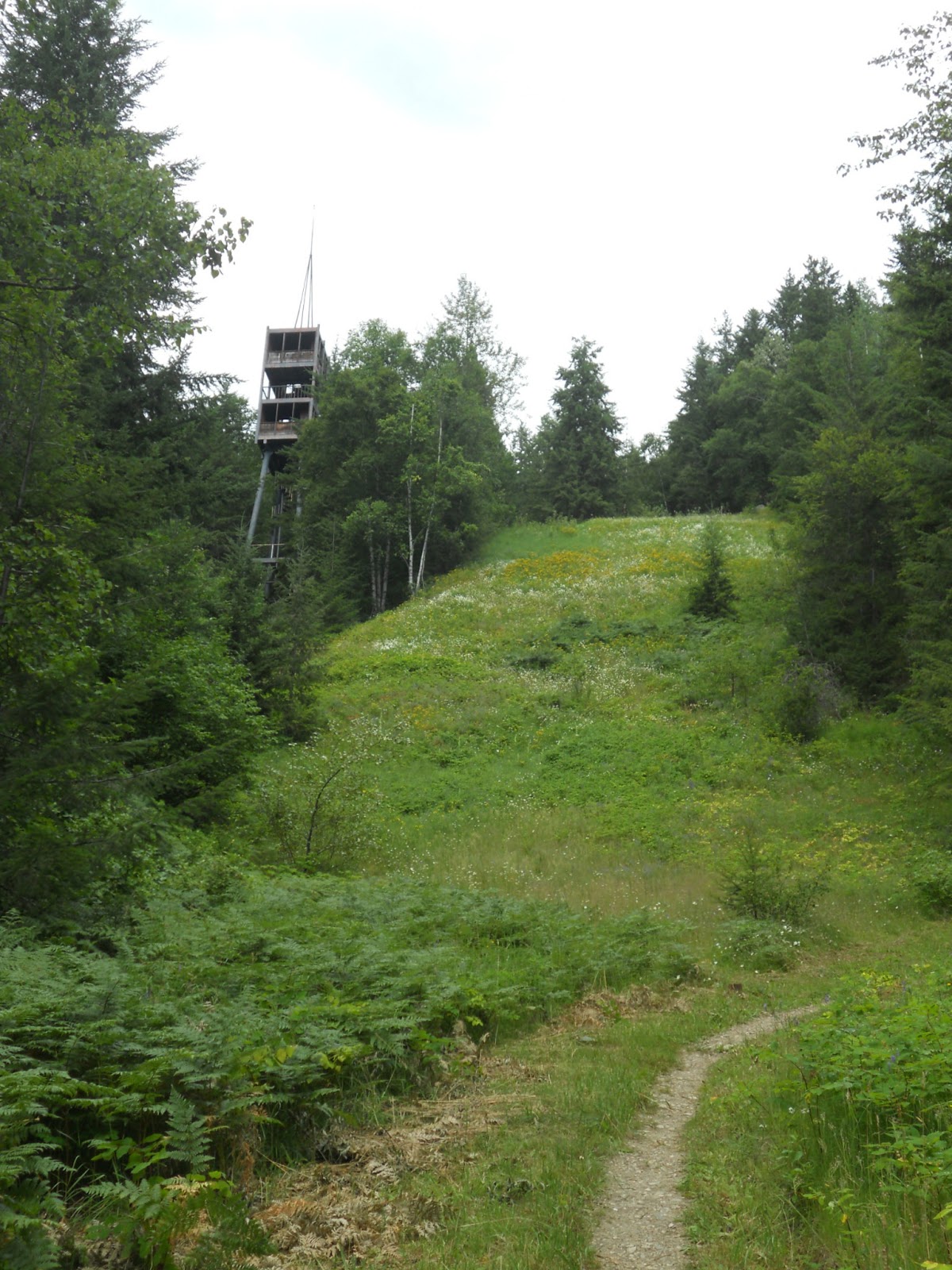 Wacky for Waymarking: July 2013