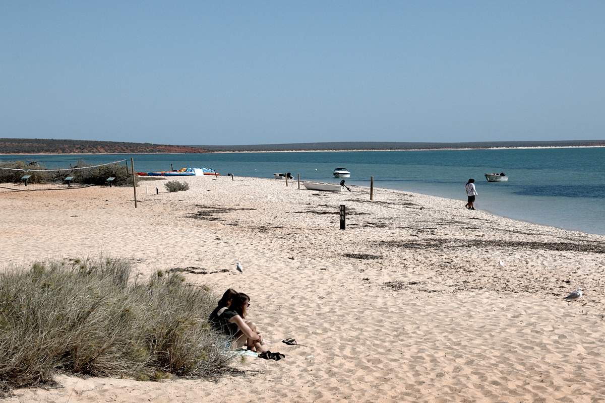Bushranger: Shark Bay coastlines