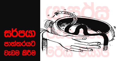 විදාරන