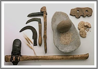 Proyecto Infantil Los Guanches (Canarias)