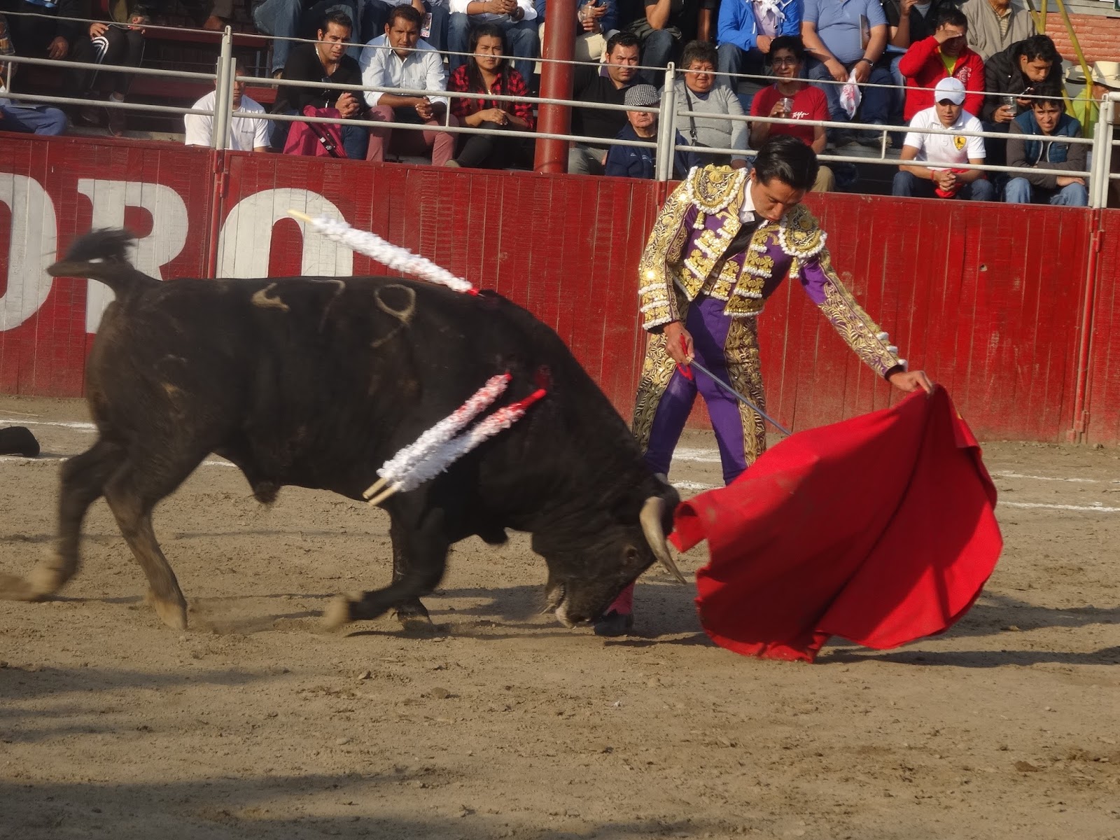 PANORAMA TAURINO DEL PERÚ: PACO RAMOS LOGRA IMPORTANTE TRIUNFO EN EL ...