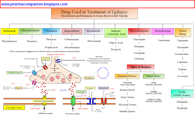 PHARMACOMPANION: ANTI-EPILEPTIC DRUGS CLASSIFICATION AND MOA ONE PAGE