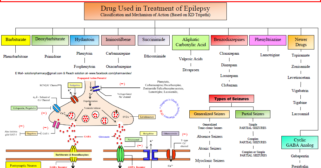 PHARMACOMPANION: ANTI-EPILEPTIC DRUGS CLASSIFICATION AND MOA ONE PAGE