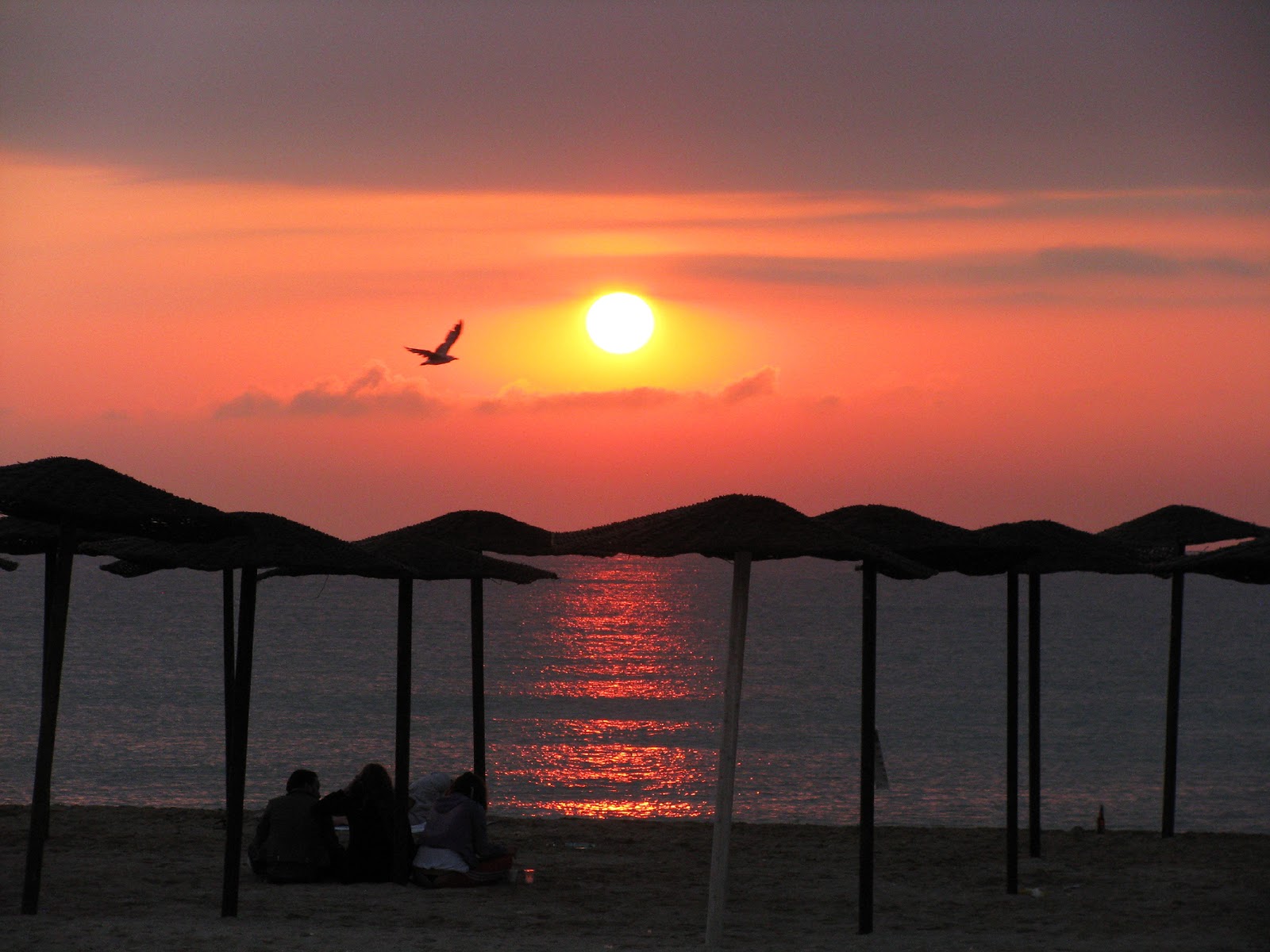 tabăra Frontiere: O zi în Vama Veche...