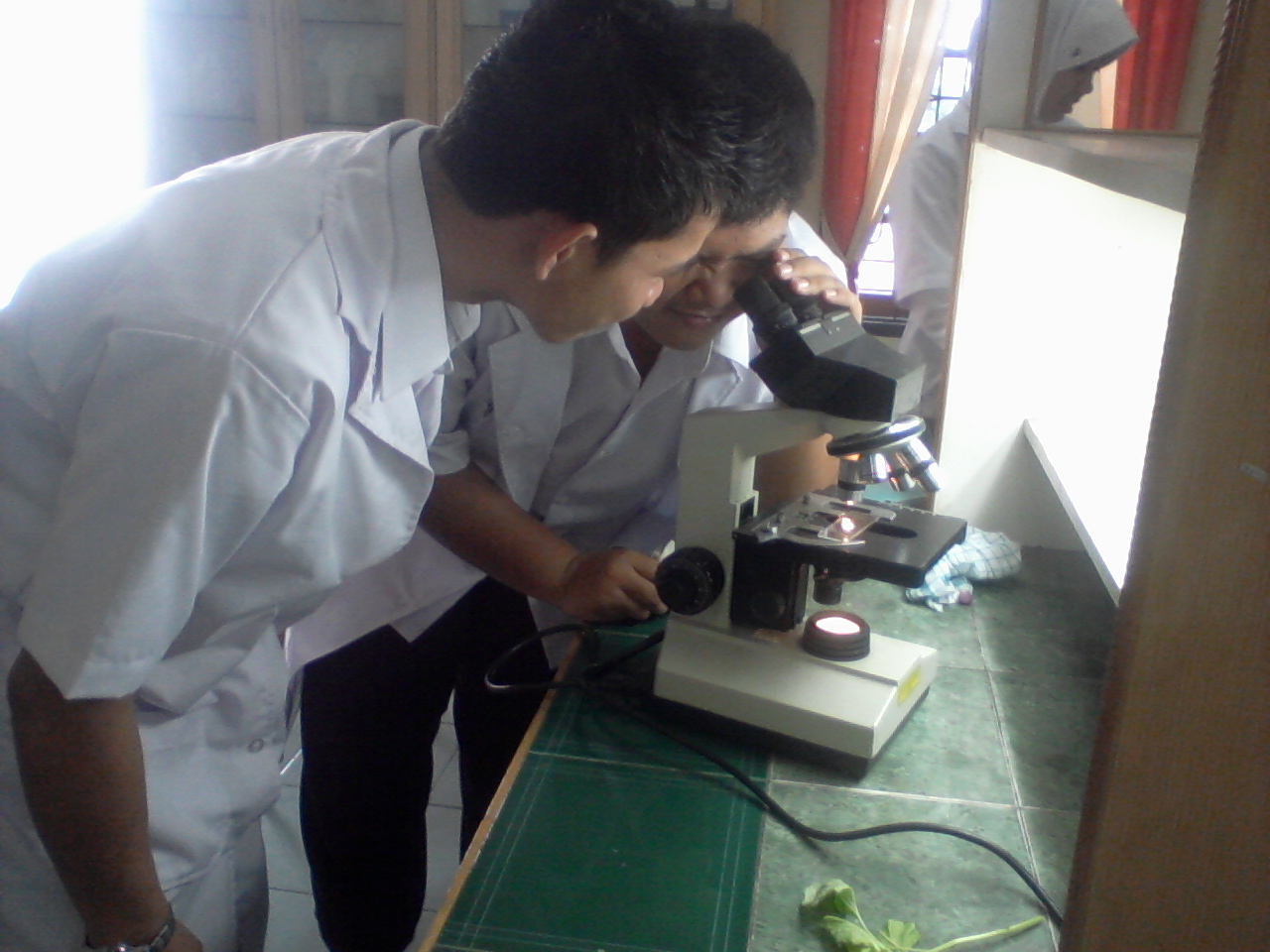 "Aan" Prasianto Purba: Foto-foto Di Lab. Biomedik STIKes MEDISTRA Lubuk ...