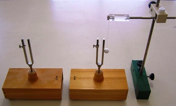 Ciencias Naturales 2º ESO IES Miguel Crespo (enseñanza no bilingüe ...