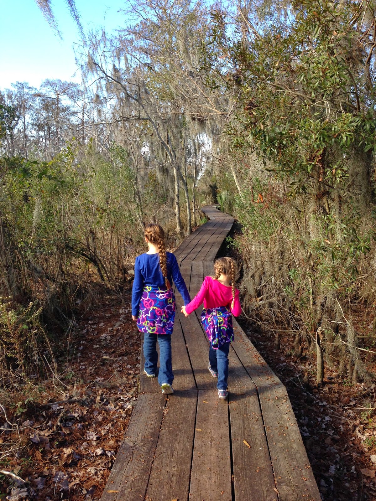 Frugal Family Travelers: Be a Tourist in Your Own Town: Bayou Segnette ...