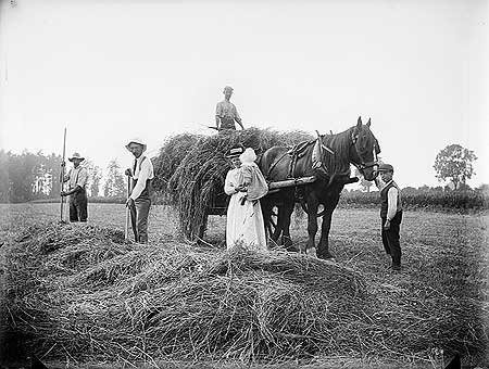 Excerpts from Leominster's History - Herefordshire farm servant in the ...