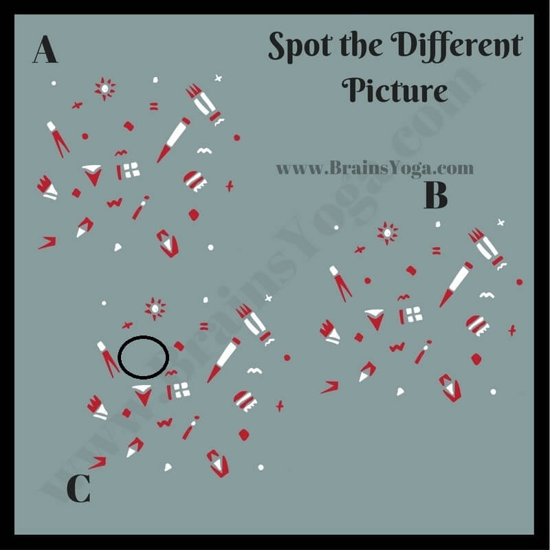 Spot the Different Picture Puzzle with Solution Image Puzzle Picture