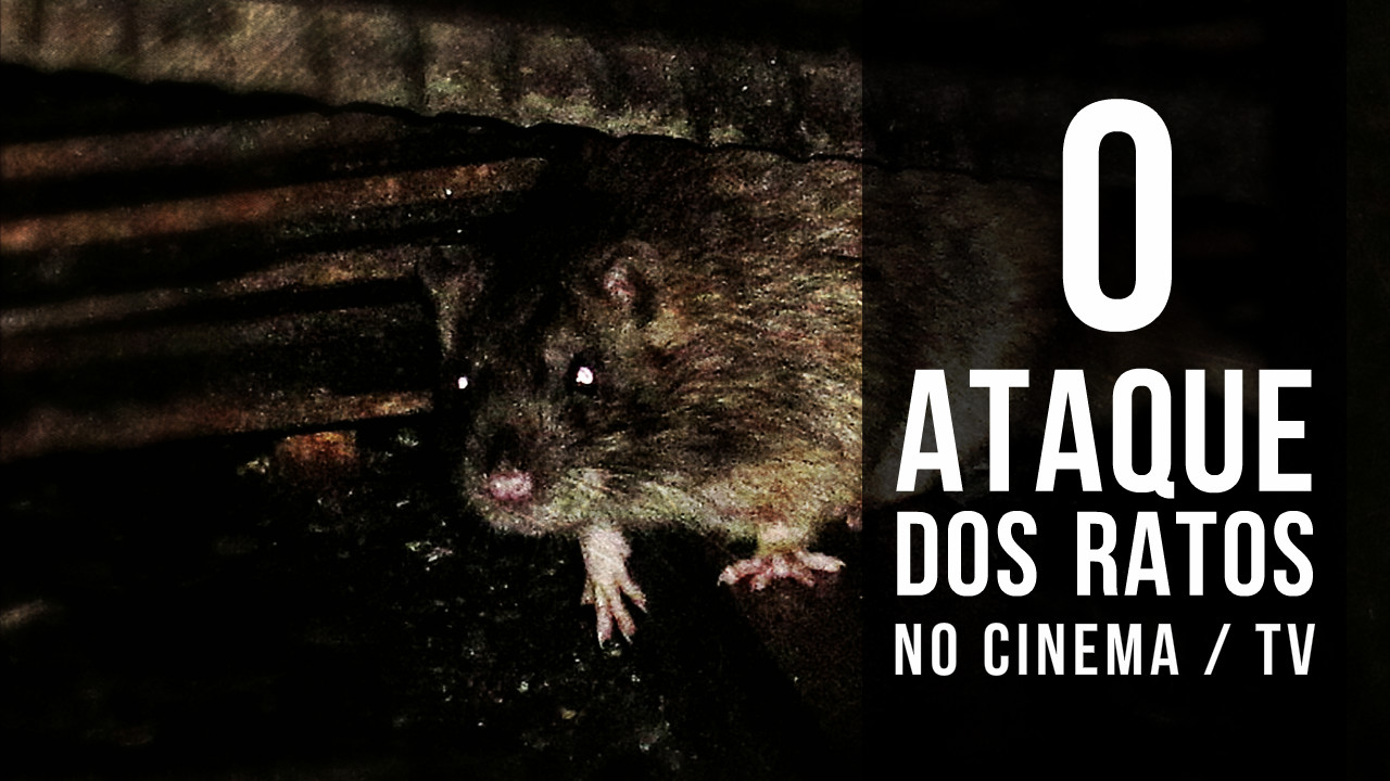 O ATAQUE DOS RATOS NO CINEMA - PIPOCA 3D