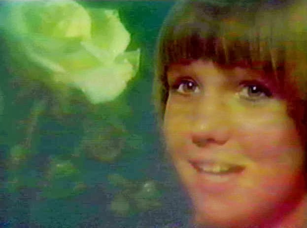 The Bugaloos Review: February 2014