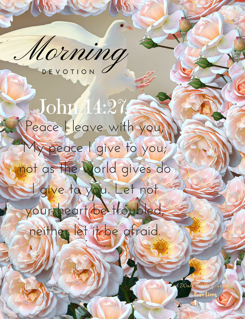 A Walk In The Garden: Morning Devotion: Words of Comfort