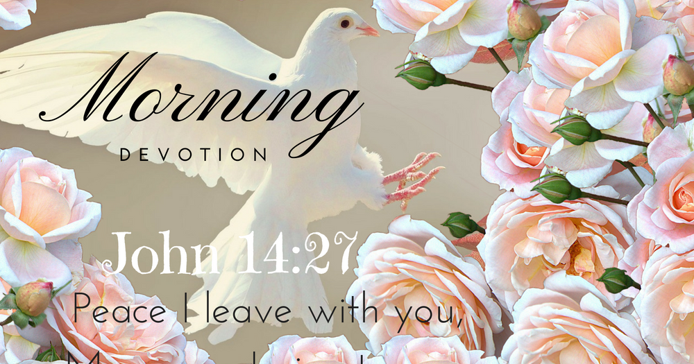 A Walk In The Garden: Morning Devotion: Words of Comfort