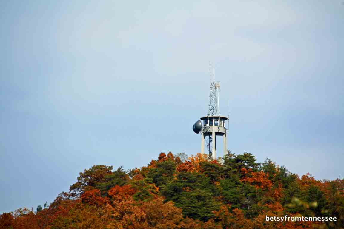 JOYFUL REFLECTIONS: Hike to Look Rock Observation Tower (Smokies-10/23/12)
