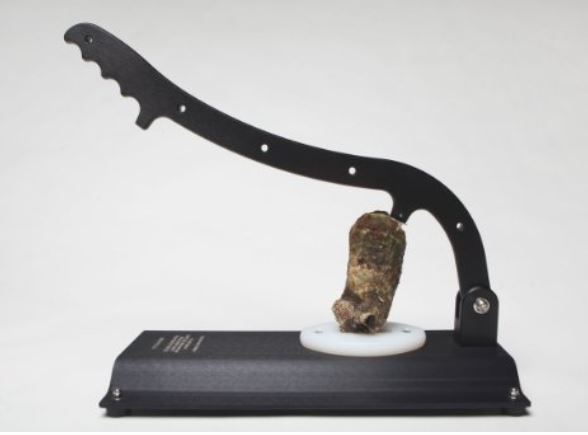 Go Shuck An Oyster: The Oyster Jack Oyster and Clam Shucker
