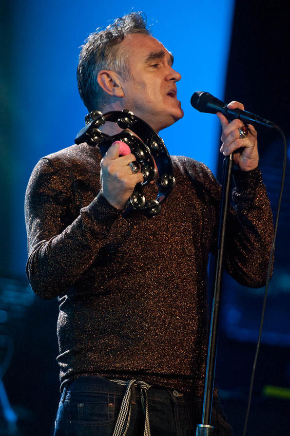 Utopian Moth: Steven Patrick Morrissey