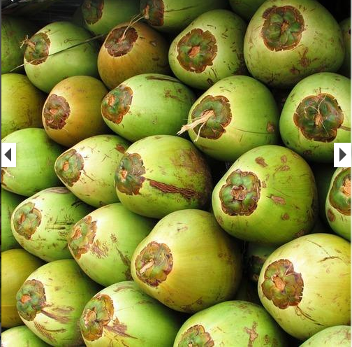 CoconutIndia.com - Pollachi Coconut Buyers