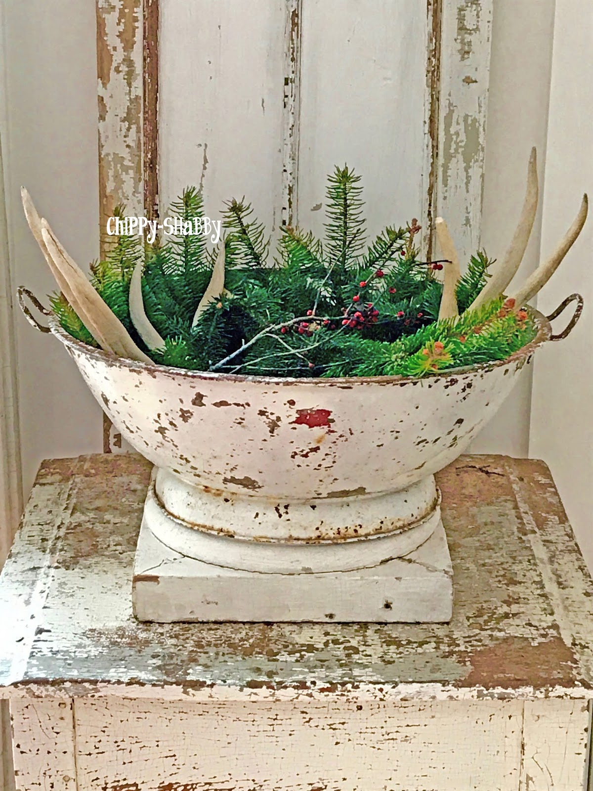 ChiPPy! - SHaBBy!: ChiPPy-WHiTe HOLIDAY BOWL w/greens...
