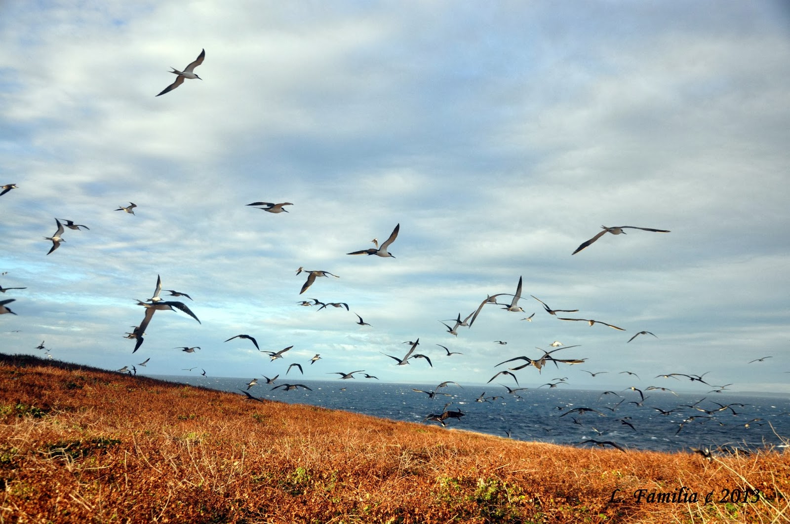 Visita en Alto Velo, Isla adyacente al suroeste de la Republica Dominicana