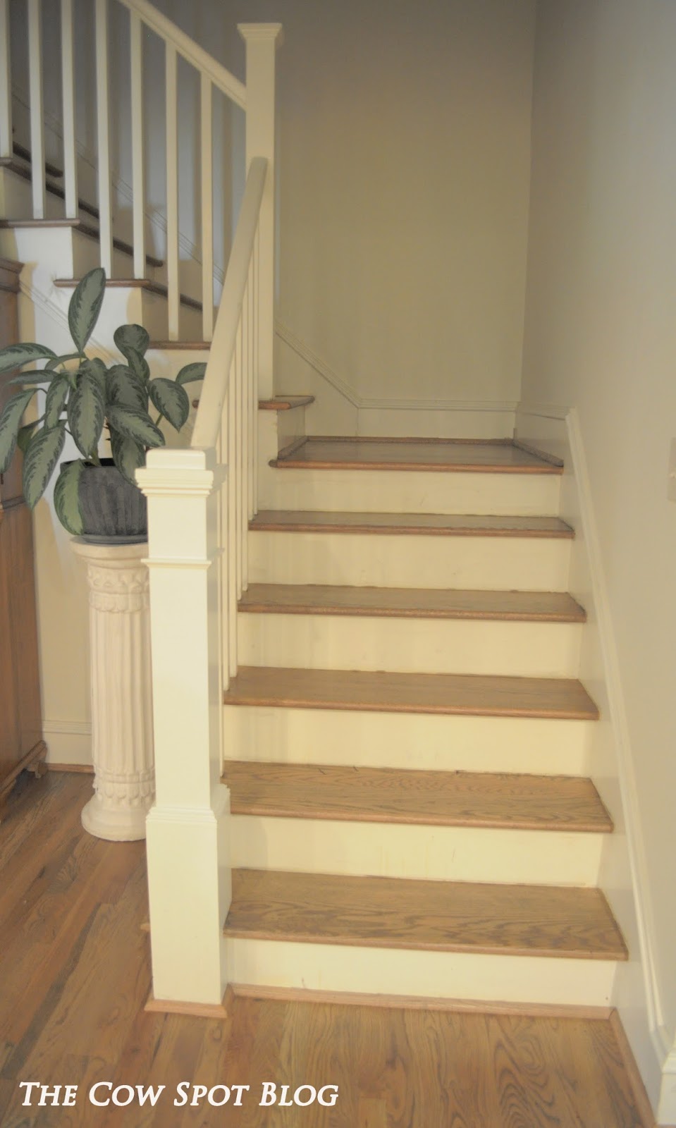 The Cow Spot: A Stair Runner with a Tail