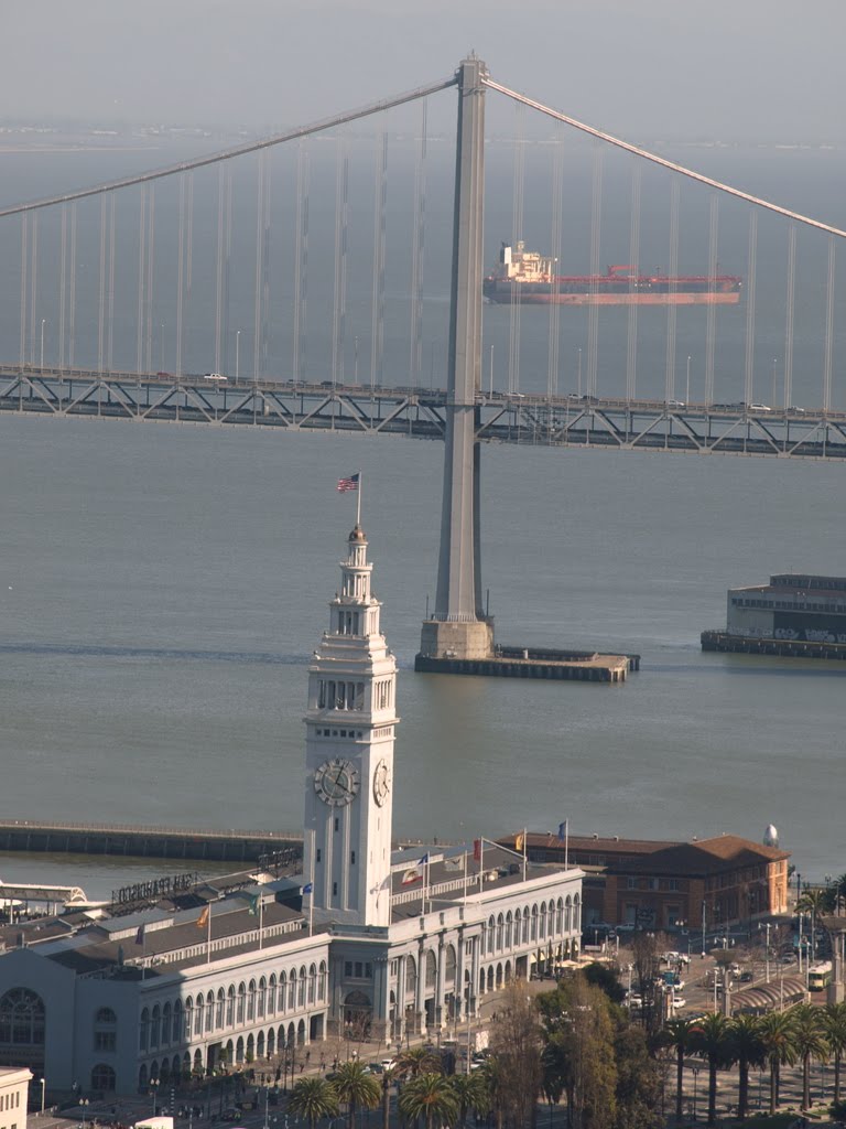 Jane Says: Walking to Coit Tower and the Parrots of Telegraph Hill