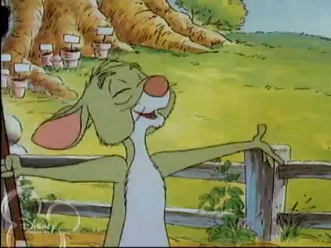 The New Adventures of Winnie The Pooh: Fast Friends Part 2