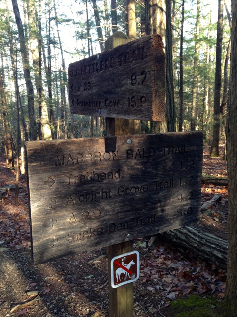 900 miles: Maddron Bald and Albright Grove Loop Trails