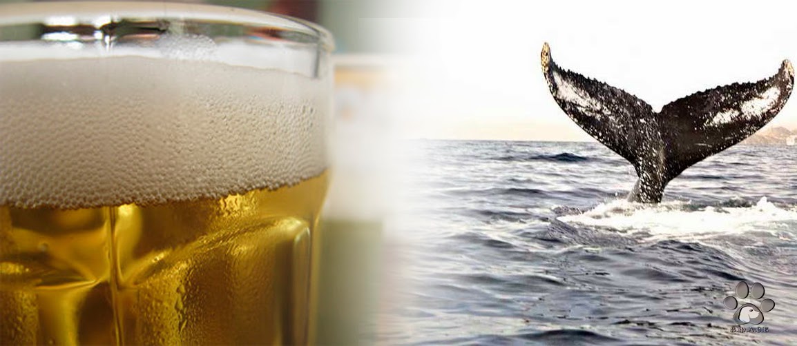 Repudiable: Ahora crean cerveza elaborada con carne de ballena en ...