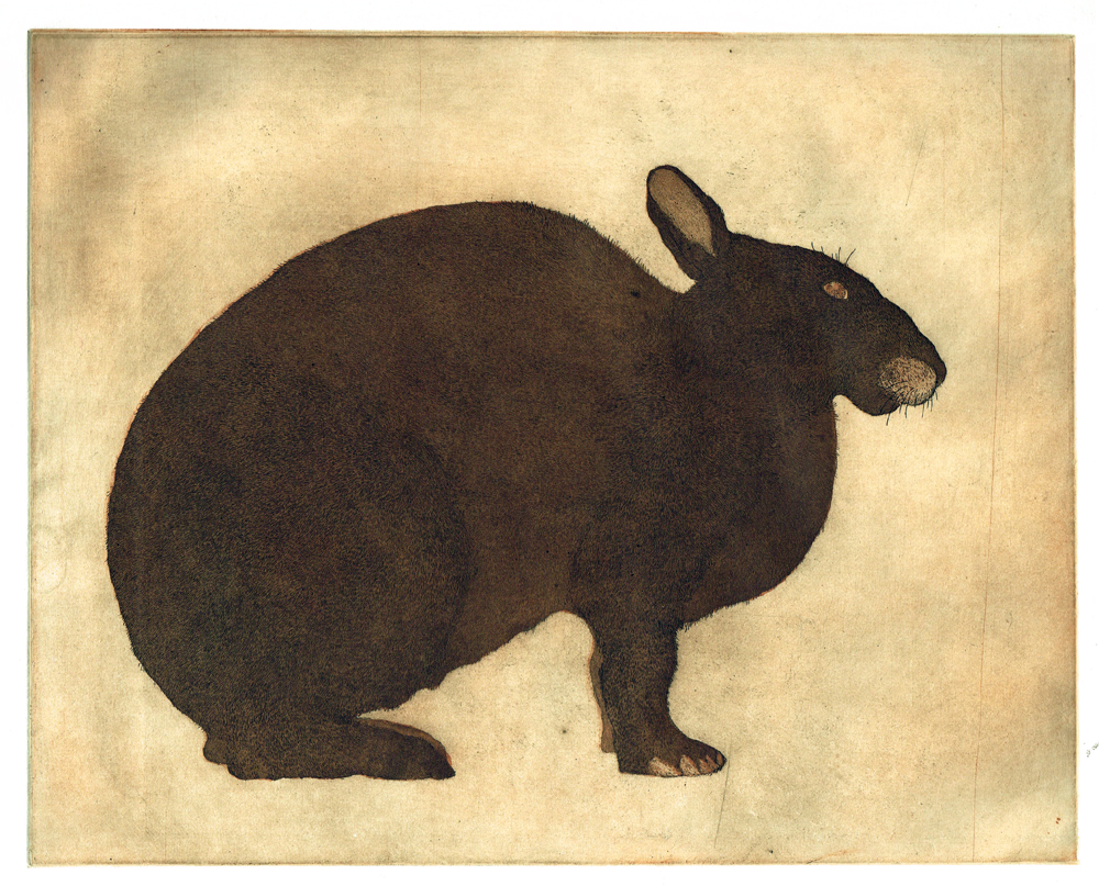 Rachel's cabinet: May 2012