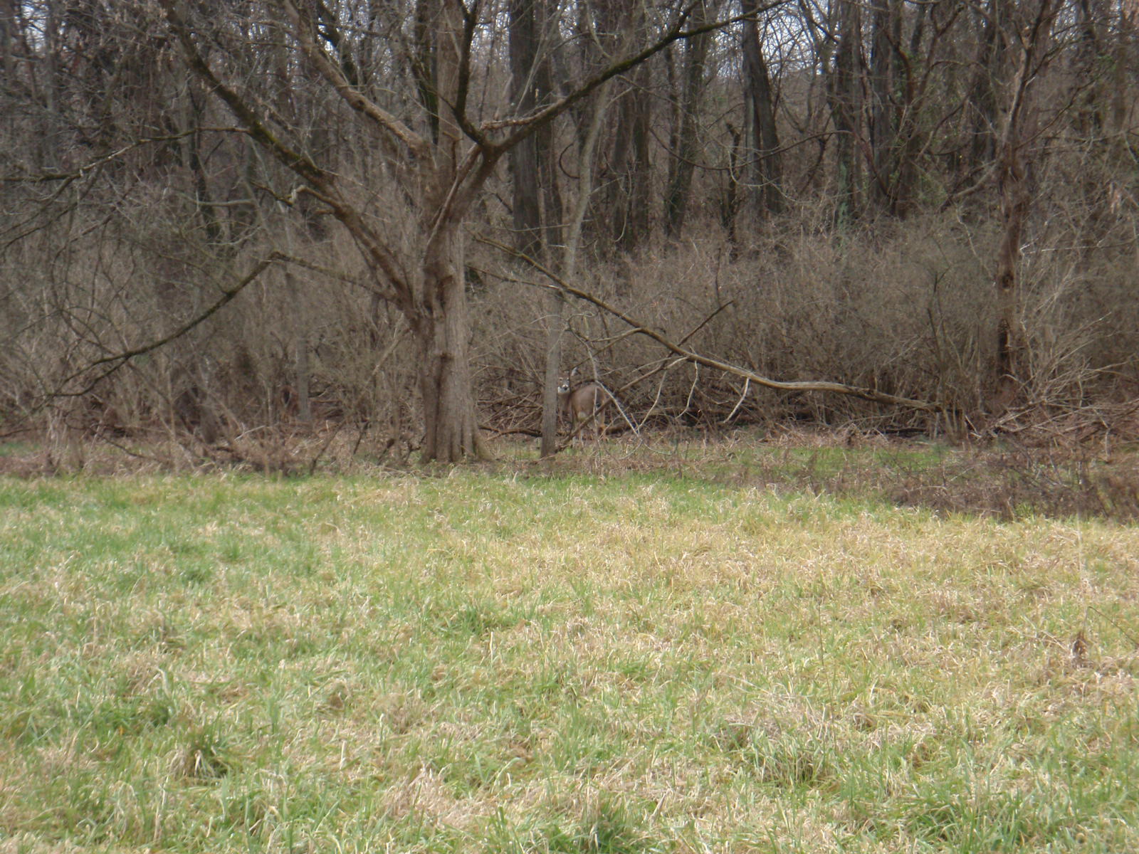 Chronicles of a Bug Flinger and Feather Lasher: The Magical Waters of ...