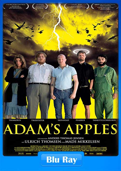 Apples | IMDB v2.3