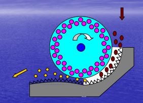 Sharing station: Depericarping station / nut and kernel plant