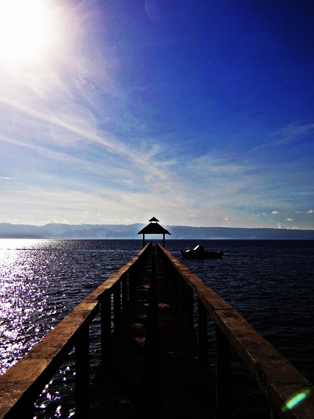 Bais Tourism: Talabong Mangrove Forest and Bird Sanctuary