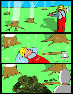 Memes ~ Protectores Forestales - Taller de Creatividad