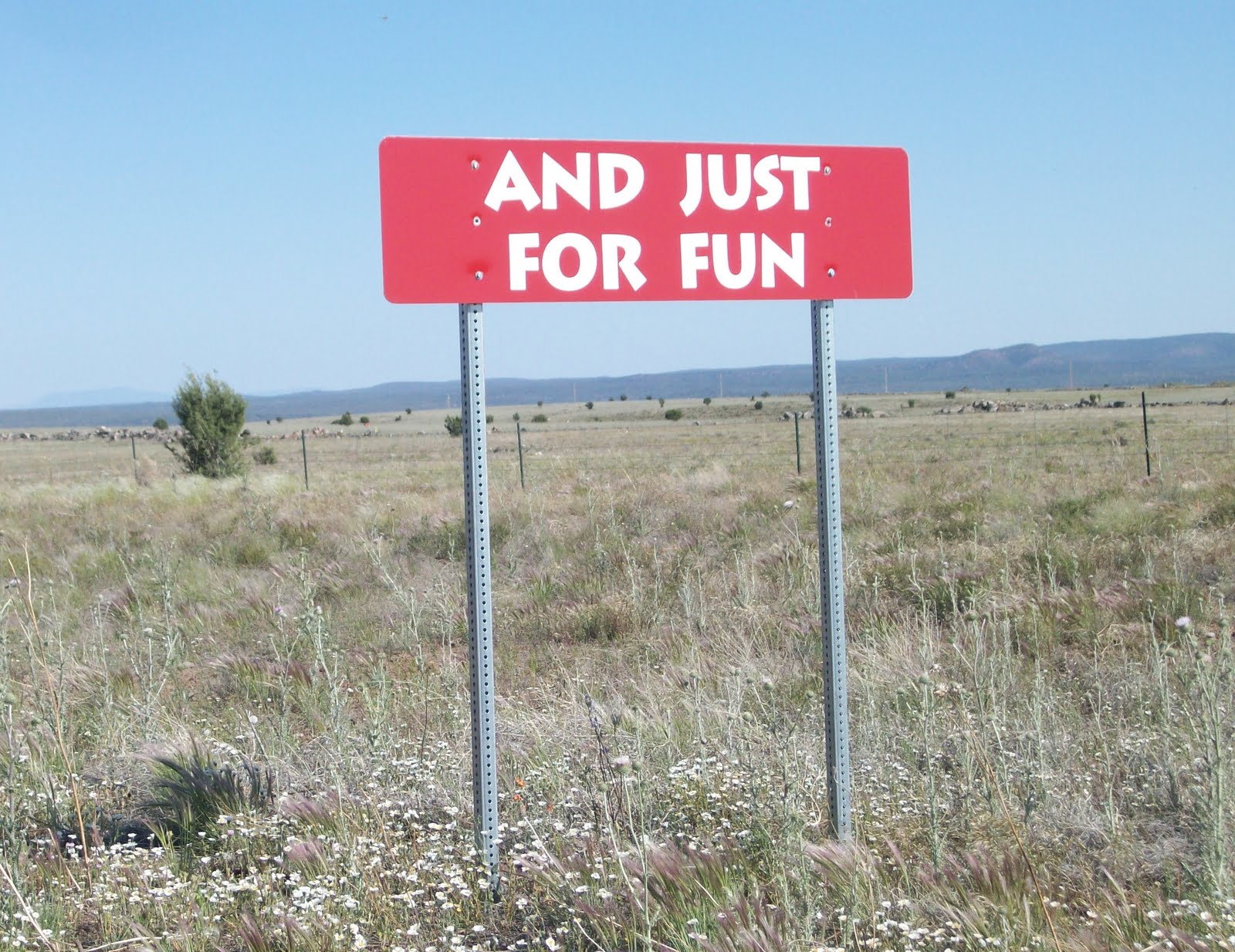 wacky tacky: Signs of the Times: A Road Trip Retrospective