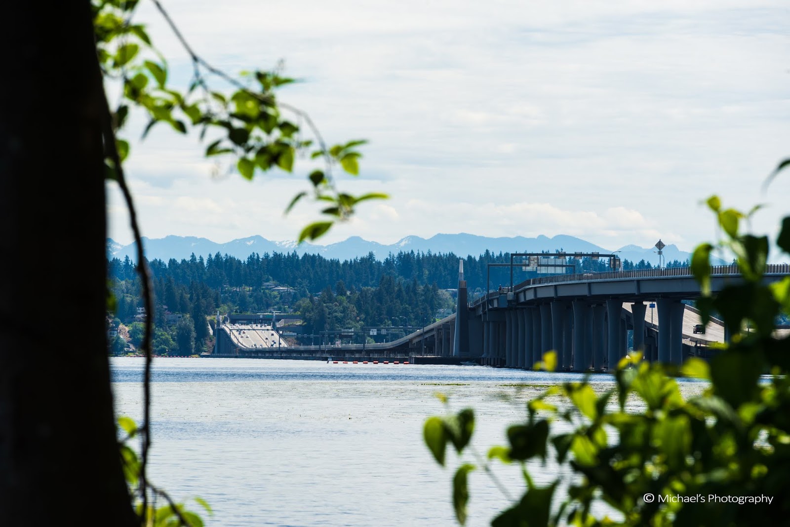 Beauty of Northwest Wilderness: Marsh Island, Seattle