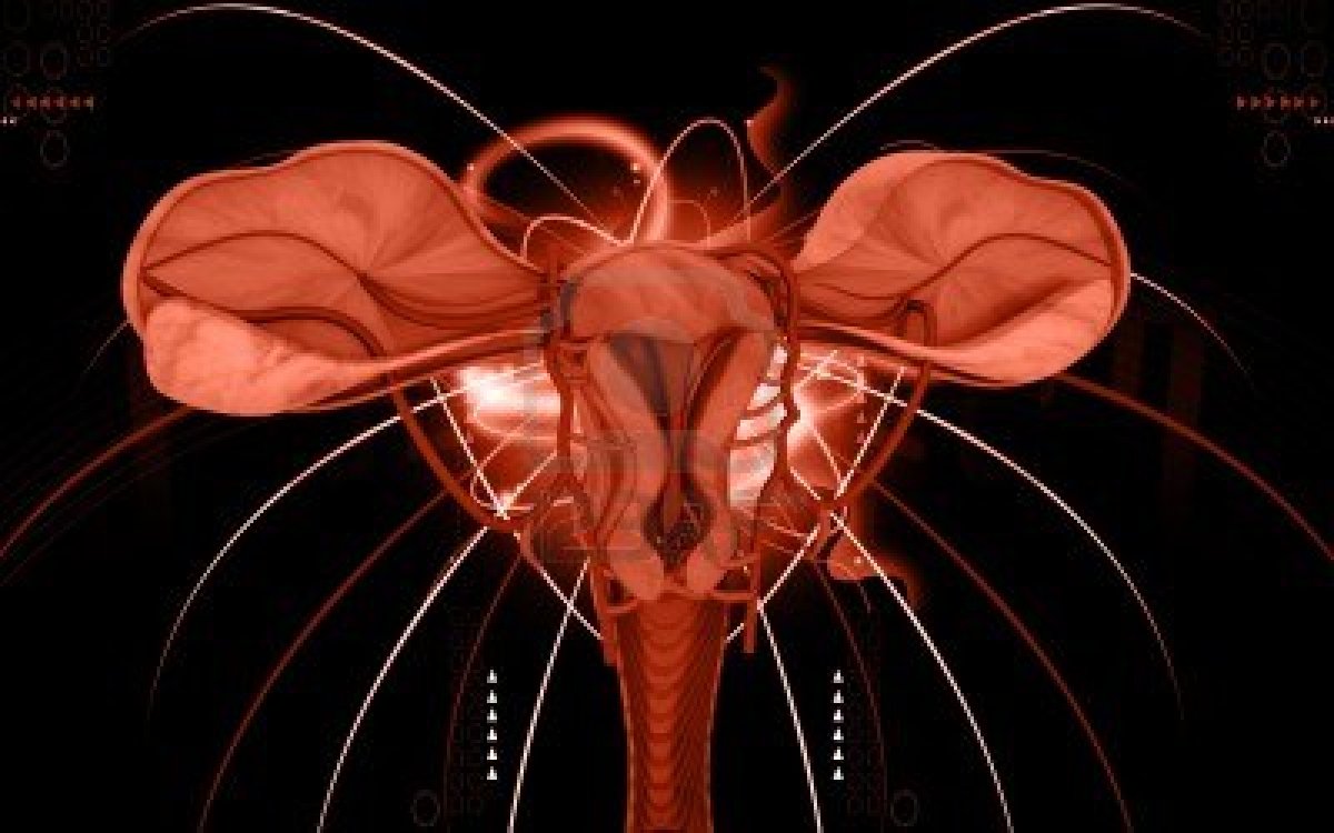 El útero y la reflexología emocional