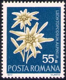 Timbre filatelice: Timbre filatelice romanesti cu flori rare din Romania
