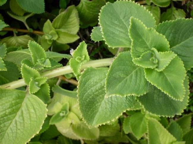 De la Terre naît notre richesse