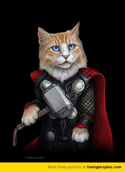 Speak of the Devil: A Day In The Life Of A Cat