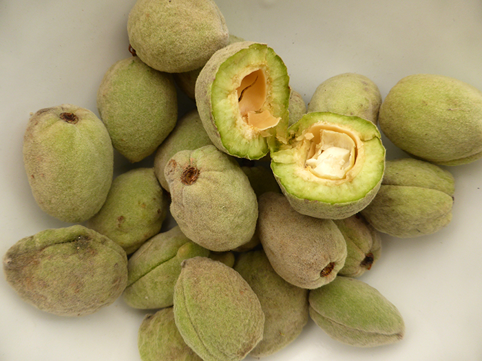 AAA ACCADEMIA AFFAMATI AFFANNATI: Le mandorle fresche