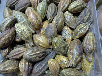 Şifalı Bitkiler - Bitkisel Tedavi: Kara Halile ve Sarı Halile ...