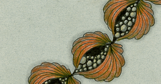 Time for Tangling: Today's Tangles