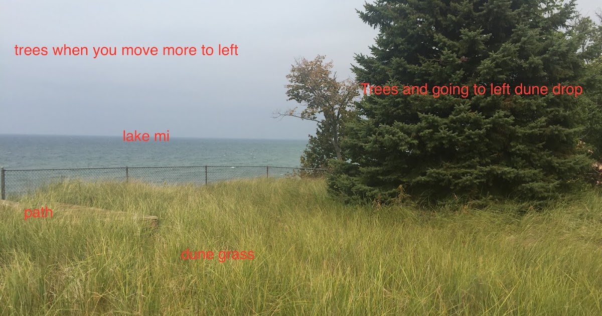 Sophias Biology Blog