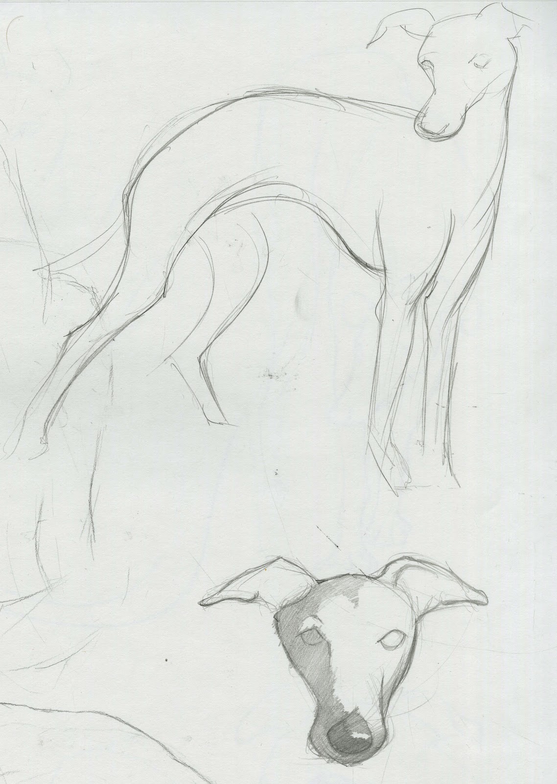 The Sketch and Animation Blog of Jacob Flannery: Dog Sketches