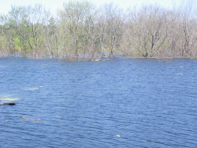 The Lost Grove Lake Mapping Project